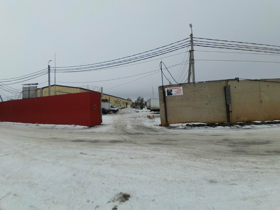 Ekmek fırını Allen, Tolyatti (Togliatti), foto