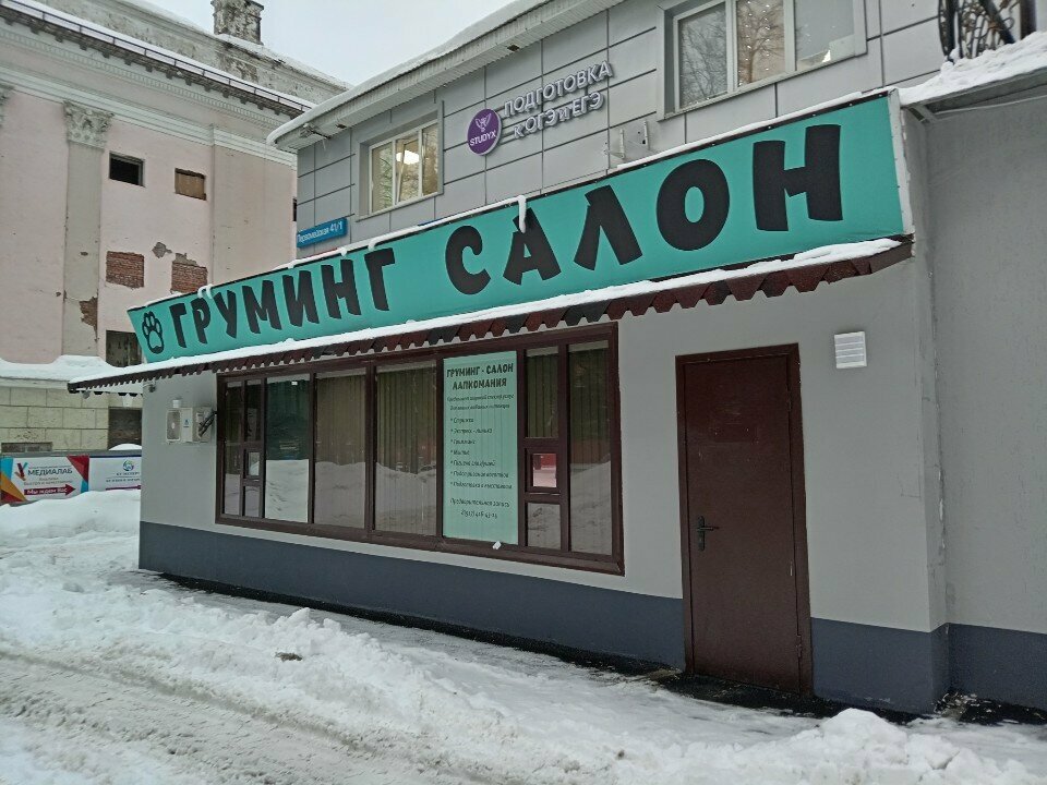 Evcil hayvan kuaförleri Grooming Lapkomaniya, Ufa, foto
