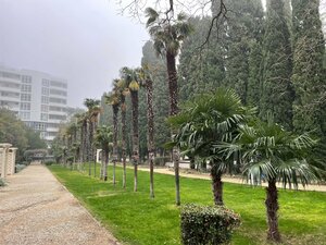 Miskhorsky park (Алупкинское шоссе No:28, посёлок городского типа Кореиз), otel  Kırım Cumhuriyeti'nden