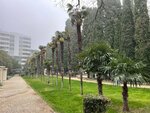 Miskhorsky park (Алупкинское шоссе No:28, посёлок городского типа Кореиз), otel  Kırım Cumhuriyeti'nden