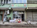 Urfa Fıstığı Bulut Tarım (Sanayi Mah., 60111 Nolu Cad., No:22/119, Şehitkamil, Gaziantep), aracı şirketler  Gaziantep'ten