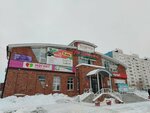 Цветочный дворик (2-ya Poselkovaya ulitsa No:55к1, mikrorayon Gorodok Neftyanikov), çiçekçiler  Omsk'tan