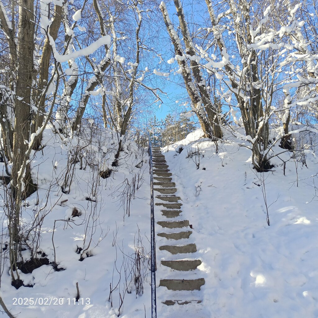 Pınar, çay Spring, stream, Saint‑Petersburg ve Leningradskaya oblastı, foto