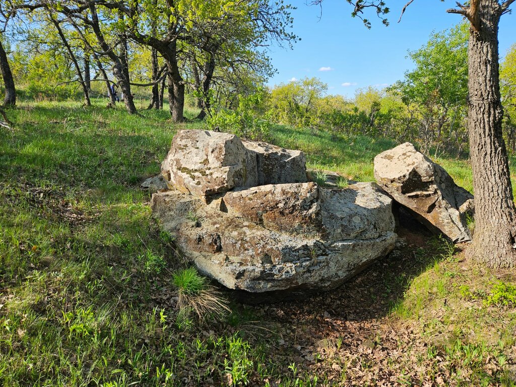 Doğa Белый камень, Volgogradskaya oblastı, foto