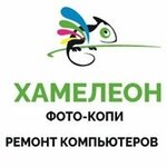 Хамелеон (Khaidar Bigichev Street No:2А), elektronik ofis ekipmanları sarf malzemeleri  Kazan'dan