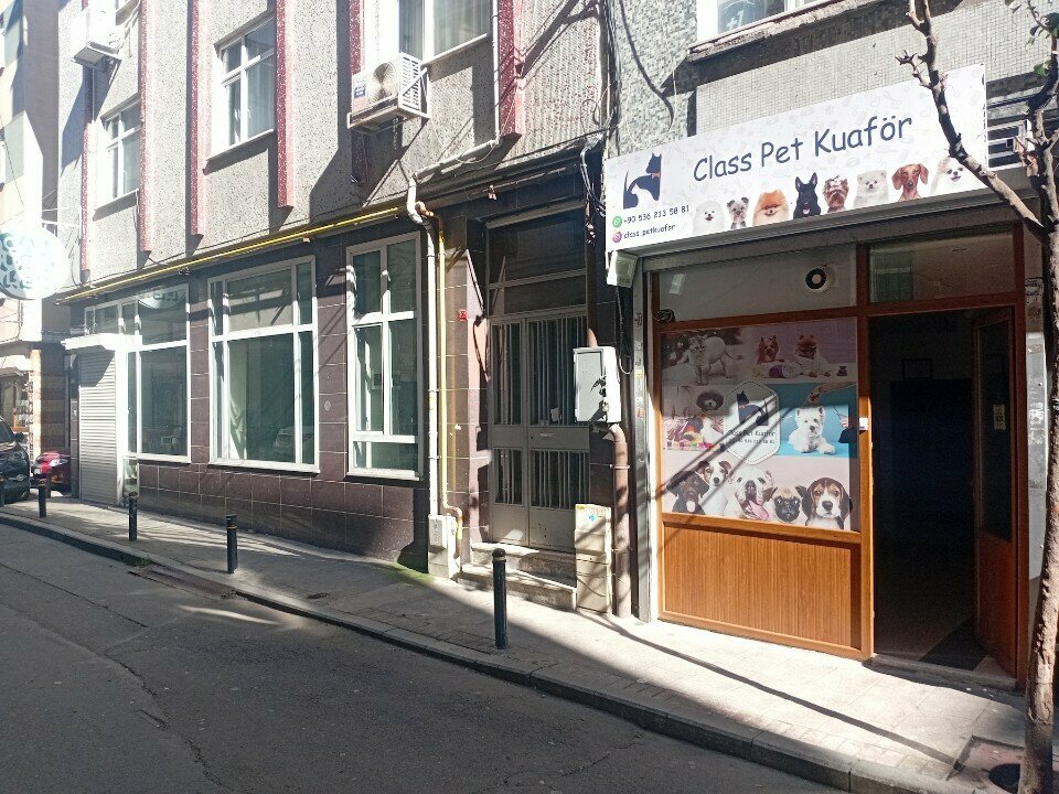 Petshop Class Pet Kuaför, İstanbul, foto
