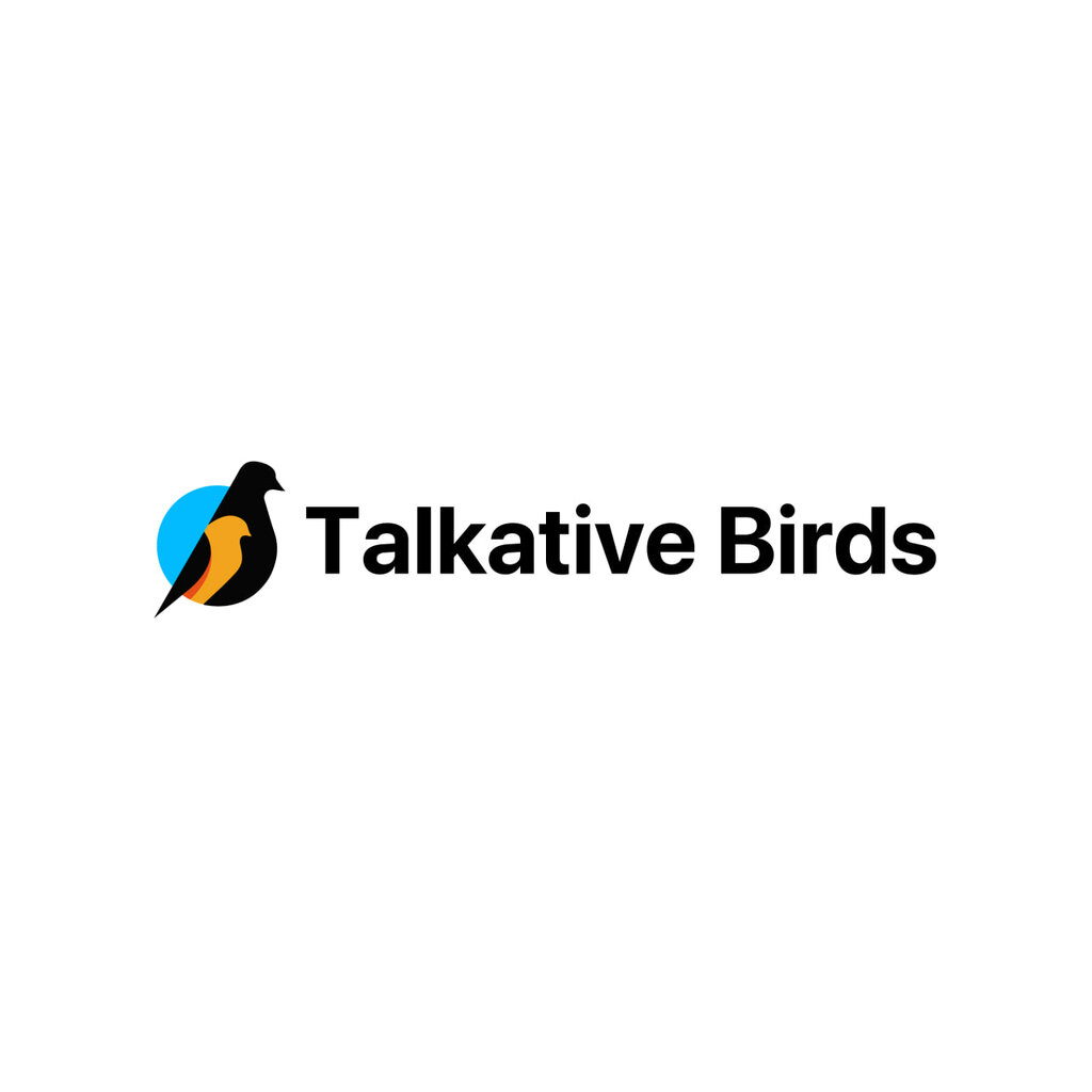 Eğitim merkezleri Talkative Birds Online School, Taşkent, foto