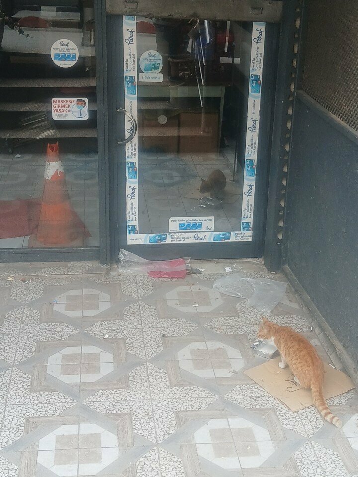 Kafe Damak Tadı, İstanbul, foto