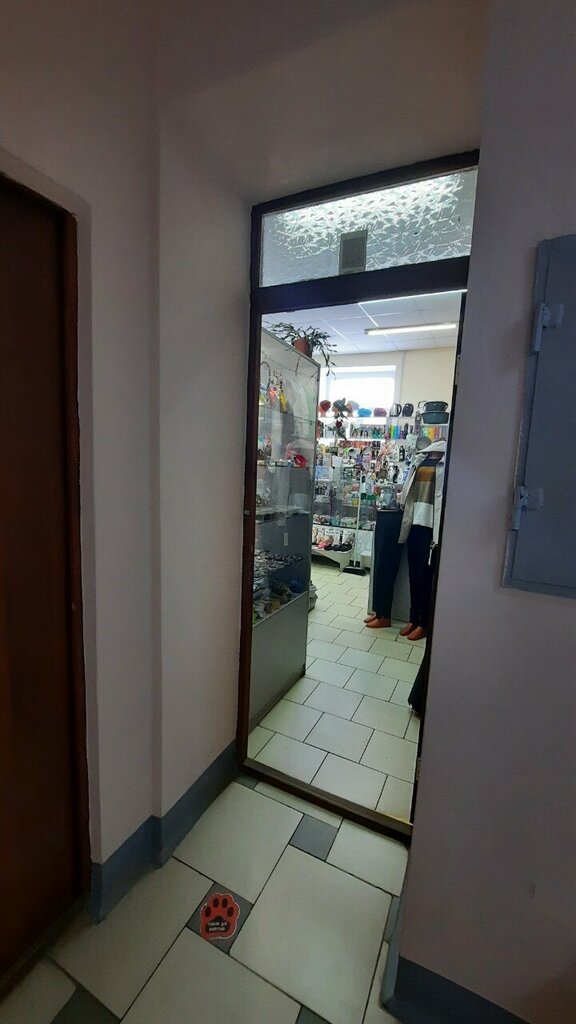 Mini-market Магазин смешанных товаров, İvanovo, foto