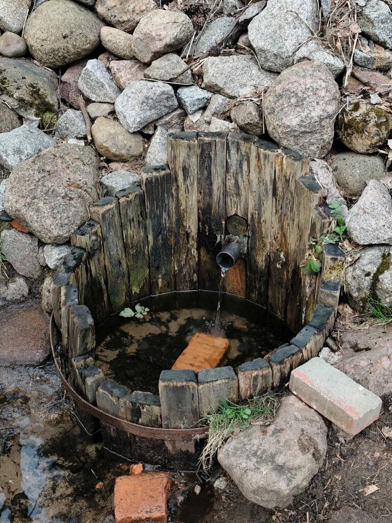 Pınar, çay Spring, stream, Sestroretsk, foto