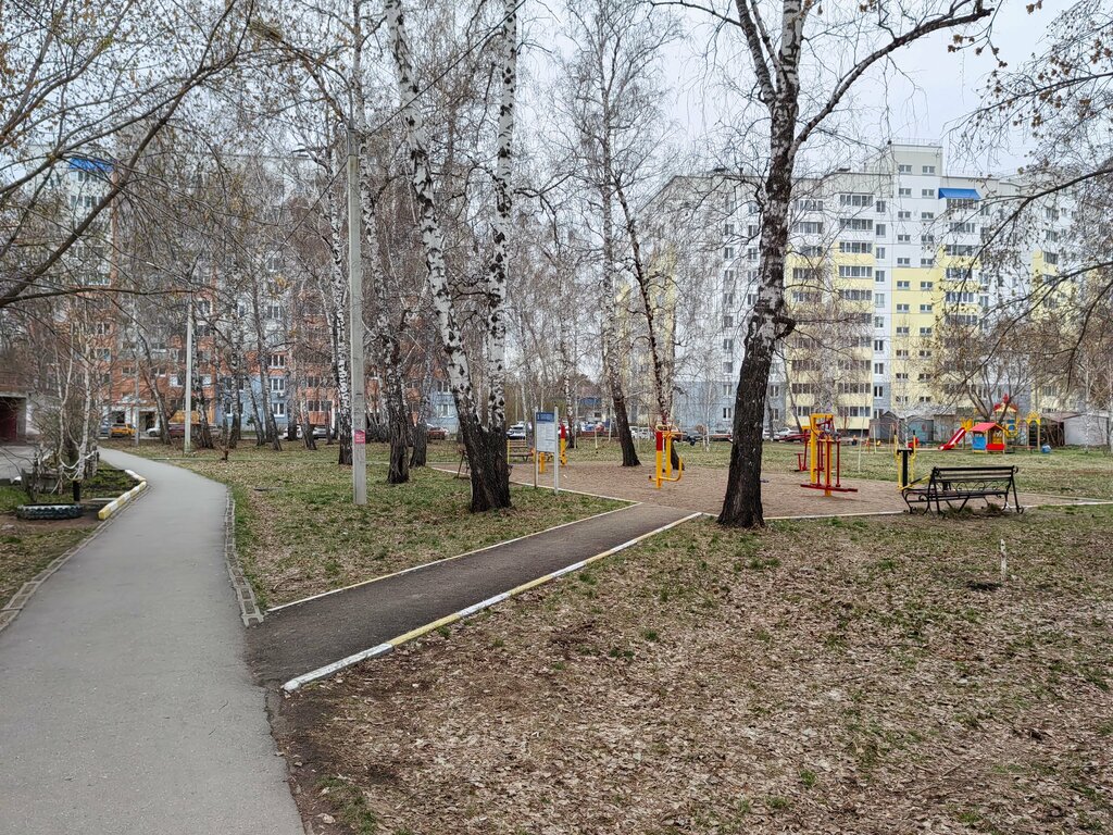 Kültür ve eğlence parkları сквер Берёзовая роща, Omsk, foto