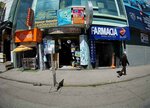 Laboratorio Clínico Analizo (Department of La Paz, Provincia Murillo, El Alto, Avenida Satélite, 742), tıbbi laboratuvarlar  Bolivya'dan