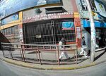 Unidad Educativa Yugoslavia B (Department of La Paz, Provincia Murillo, La Paz, Calle Yungas, 570), yüksekokul  Bolivya'dan