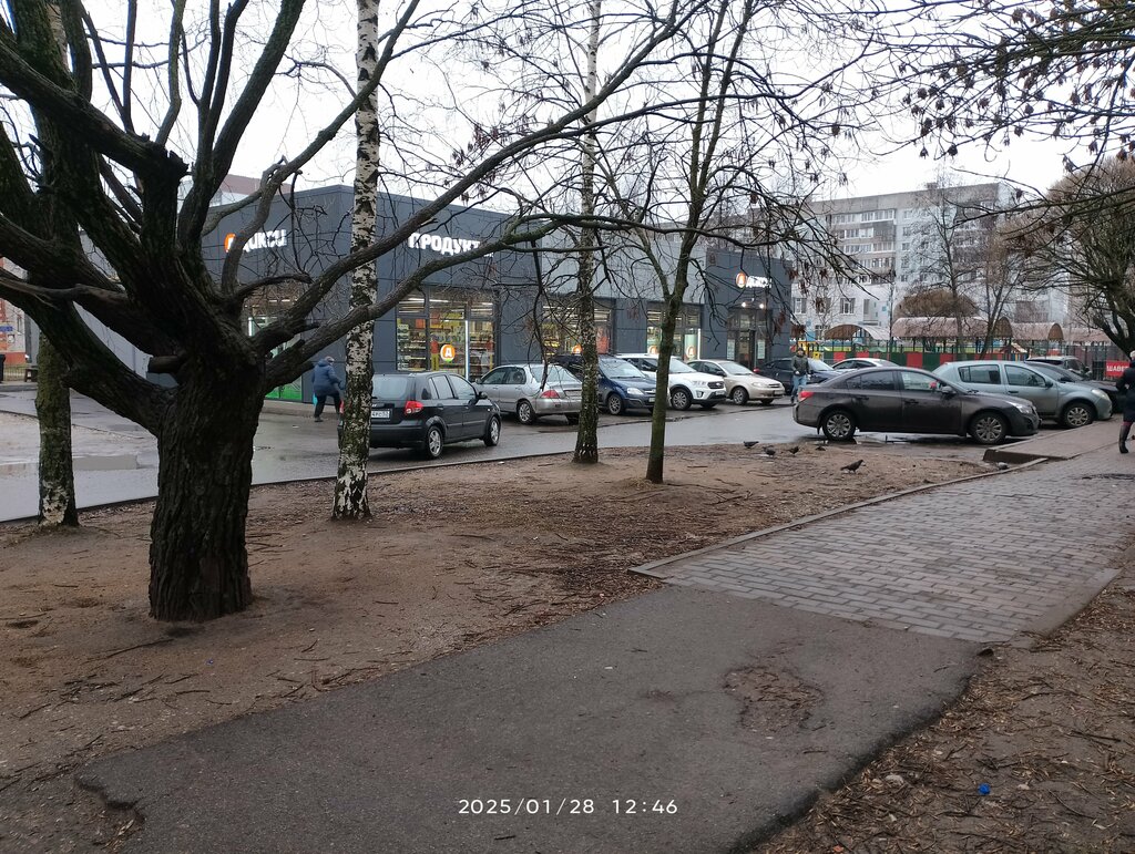 Süpermarket Diksi, Velikiy Novgorod, foto