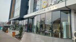 Ololo Yurt (Kulatov Street No:61), pansiyonlar, hosteller  Bişkek'ten