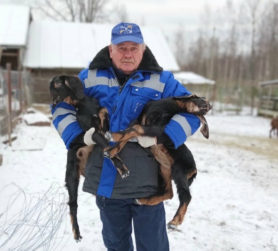 Veteriner klinikleri Sbbzh of Vyborgsky district Primorsky Veterinary Station, Primorsk, foto