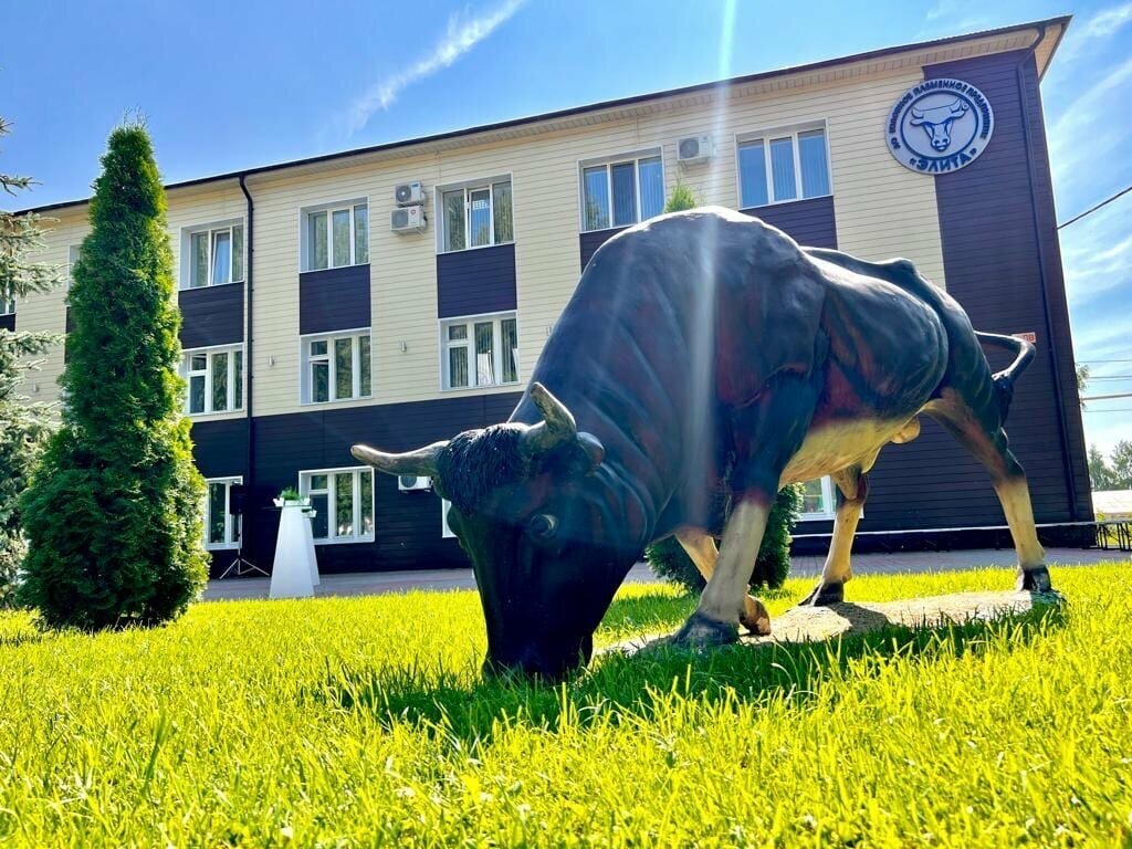 Hayvancılık Elite, Tataristan, foto