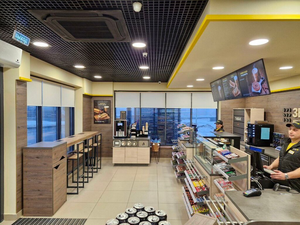 Benzin istasyonu Rosneft', Penzenskaya oblastı, foto