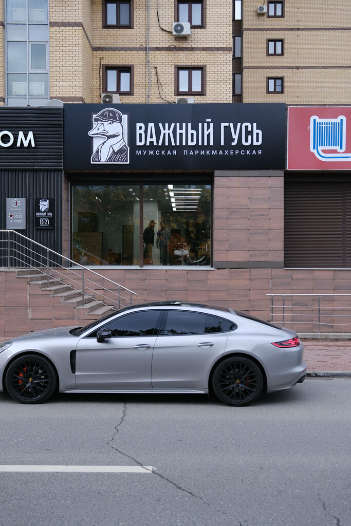 Berberler Vazhniy Goose, Tiumen, foto