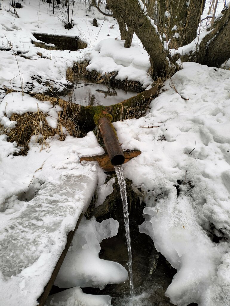 Pınar, çay Spring, stream, Arhangelskaya oblastı, foto