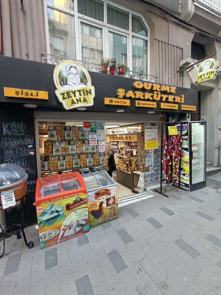 Medikal cihaz firmaları Zeytin Ana, İstanbul, foto