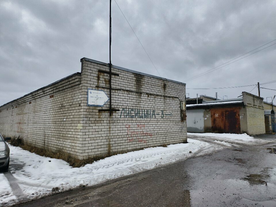 Garajlar ГК Тюльпан, Yaroslavl, foto