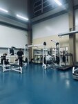 Физкультурно-оздоровительный комплекс Дон (ulitsa 60 let Oktyabrya No:11А, selo Verkhniy Mamon), çok amaçlı spor tesisleri  Voronejskaya oblastından