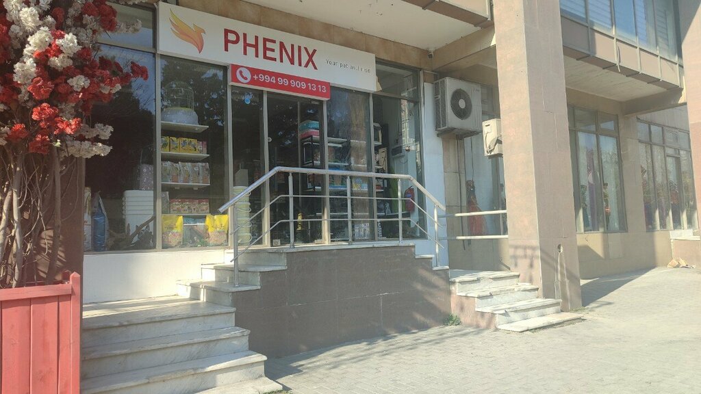 Petshop Phenix, Bakü, foto