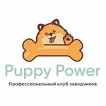 Puppy Power (Leningradskiy Avenue No:29к4), evcil hayvan yetiştiricileri  Moskova'dan