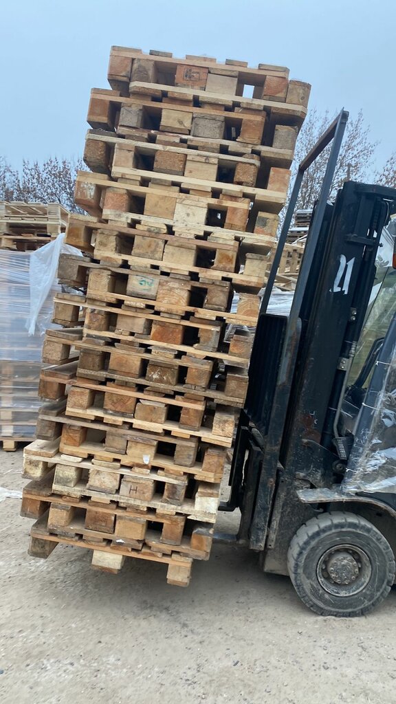 Paletler Vektor, Moskova ve Moskovskaya oblastı, foto