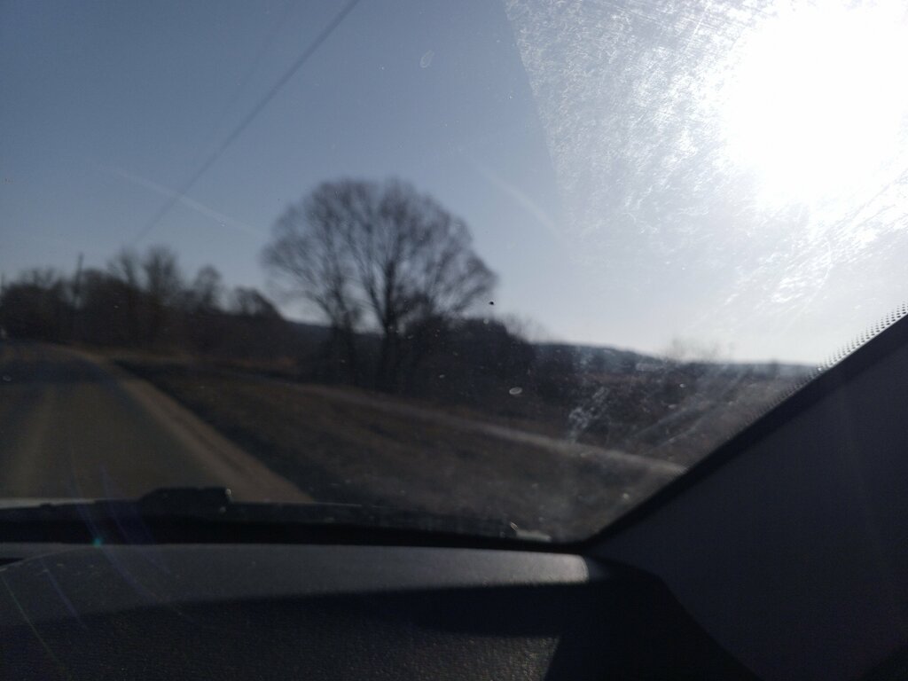 Orman Kazyonniy Forest, Riazanskaya oblastı, foto