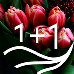 Flower Boutique 1+1 (Sovetskaya Street No:79), çiçekçiler  Kostroma'dan