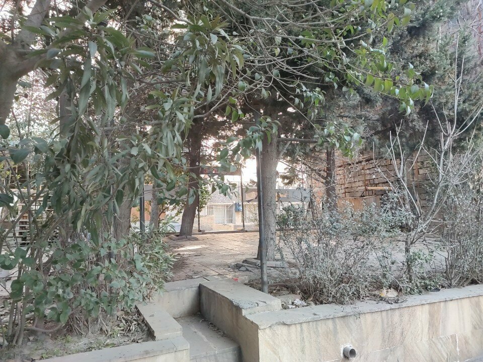 Kafe Riyad, Bakü, foto