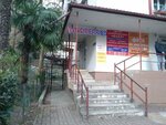 Wildberries (Krasnoarmeyskaya Street No:11, Gagarina Microdistrict), teslimat noktası  Soçi'den