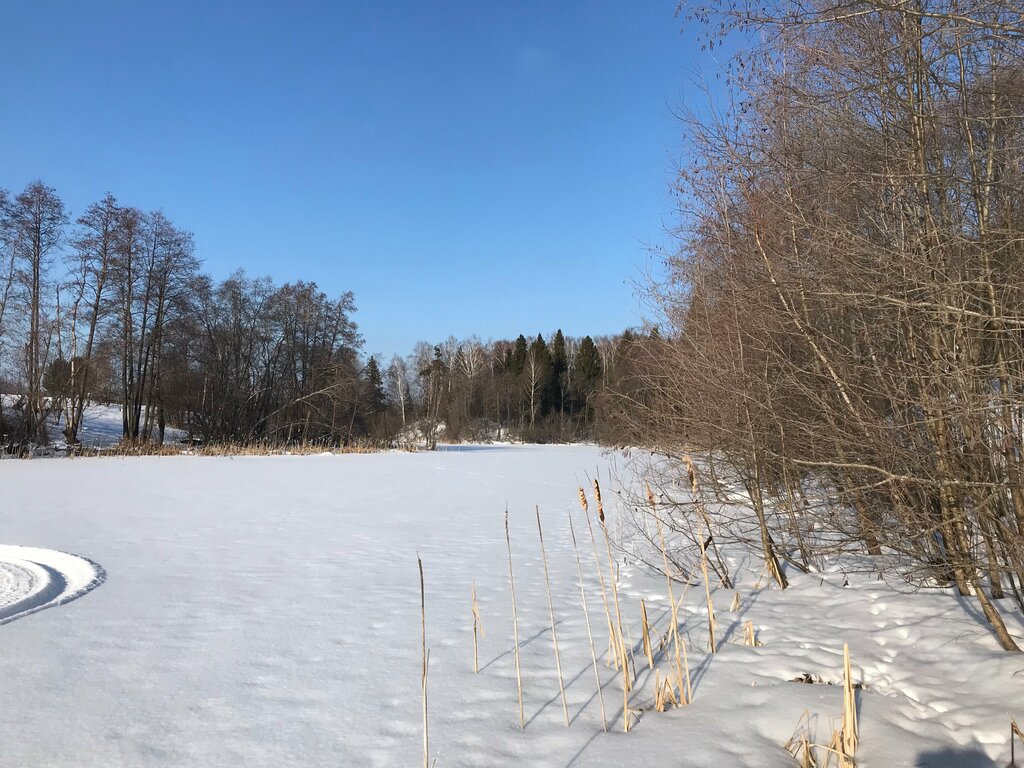 Çöp alanları Trash and garbage disposal area, Mariy El Cumhuriyeti, foto