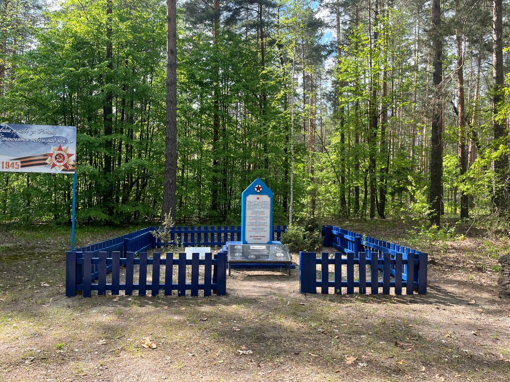 Anıt, heykel Погибшим лётчикам в годы Великой Отечественной войны, Tambovskaya oblastı, foto