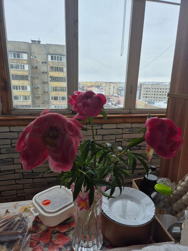 Çiçek teslimatı Florange, Severomorsk, foto