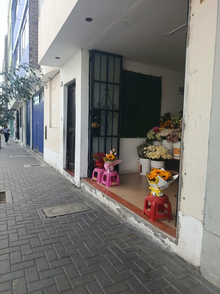 Çiçek pazarı Florería, Lima, foto