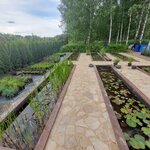 АвантАква (Moscow Region, Mytischi), sera ve bahçe ürünleri  Mytişçi'den