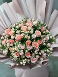 Red Rose (Paruyr Sevak Street No:9/14), çiçekçiler  Gümrü'den