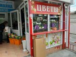 Магазин цветов (Krymskaya Street No:25А, Mamaika Microdistrict), çiçekçiler  Soçi'den