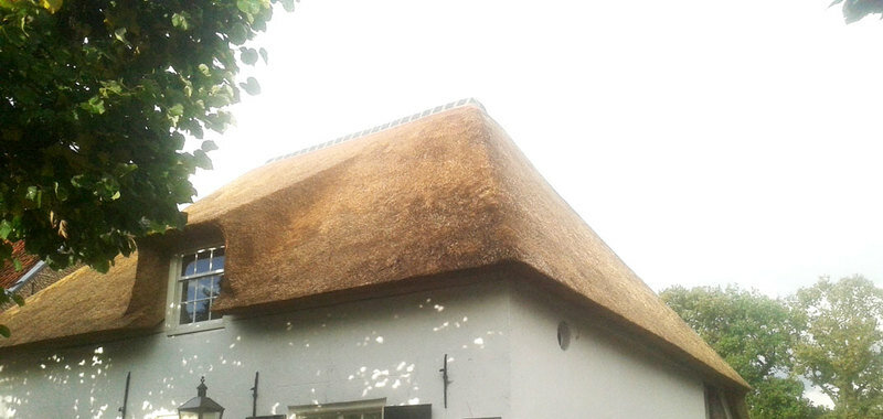 Çatı ve çatı materyalleri Arno Reijers Rietdekkersbedrijf, Gelderland, foto