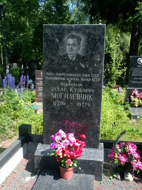 Anıt, heykel Заслуженному деятелю науки БССР, профессору-гигиенисту З.К. Могилевчику, Minskaya oblastı, foto