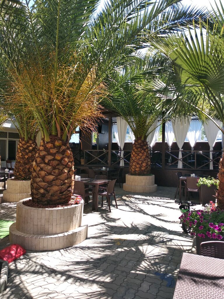 Kafe Шашлычок, Krasnodarski krayı, foto