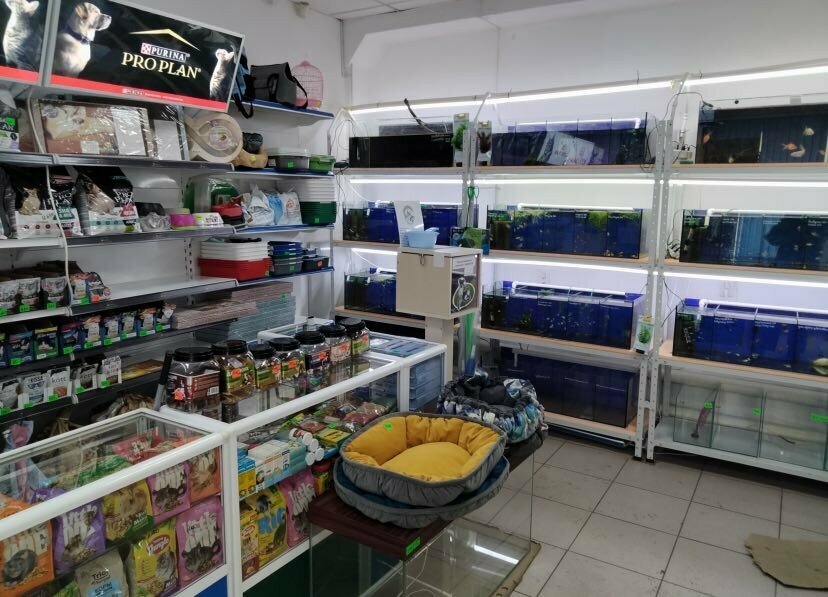 Petshop Black Shark, Yekibastuz (Ekibastuz), foto