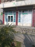 Xəyal Aptek (Aydin Məmmədov küçəsi No:55A), eczaneler  Mingeçevir'den