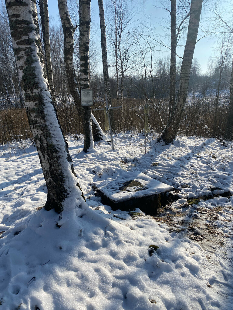 Pınar, çay Святой источник Параскевы Пятницы, Vitebskaya oblastı, foto