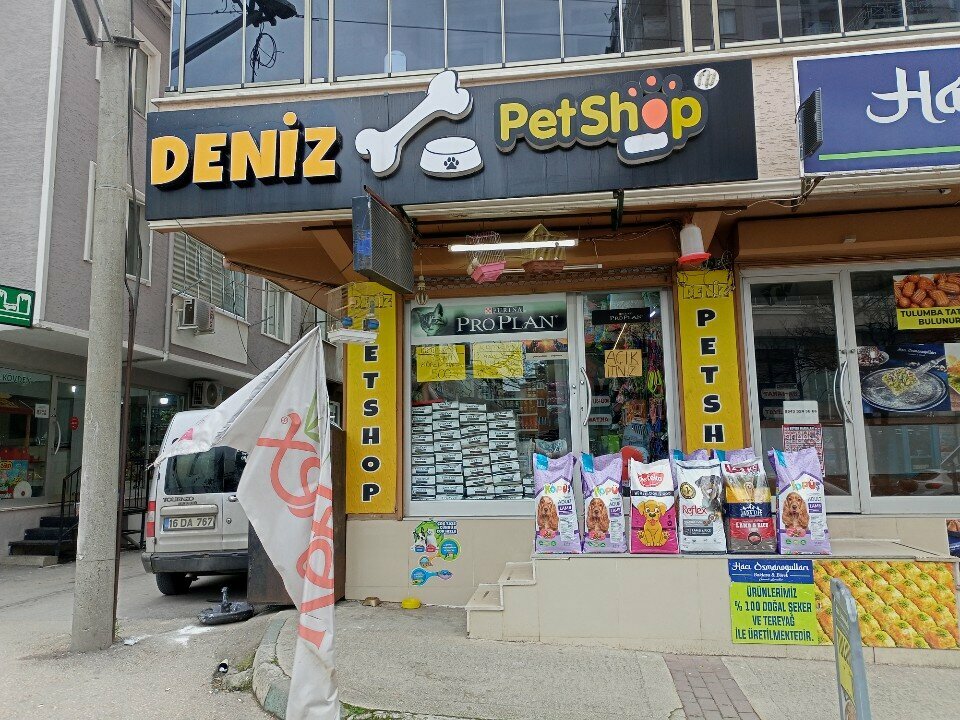 Petshop Deniz Petshop, Bursa, foto