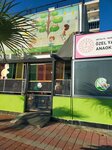 Özel Yaprak Anaokulu (Antalya, Muratpaşa, Güzeloba Mah., Lara Cad., 401C), anaokulları  Antalya'dan