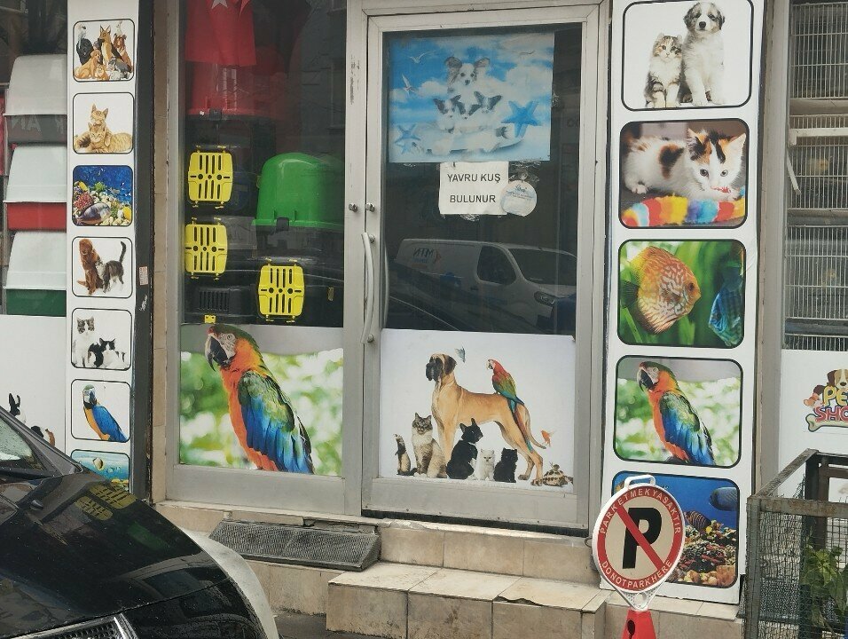 Petshop Hatipoğlu Akvaryum Kuş Cenneti, İstanbul, foto